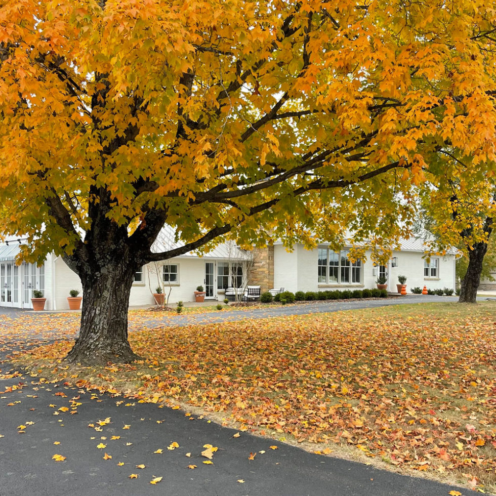 Meeks Realty Group - Find a place to call home.